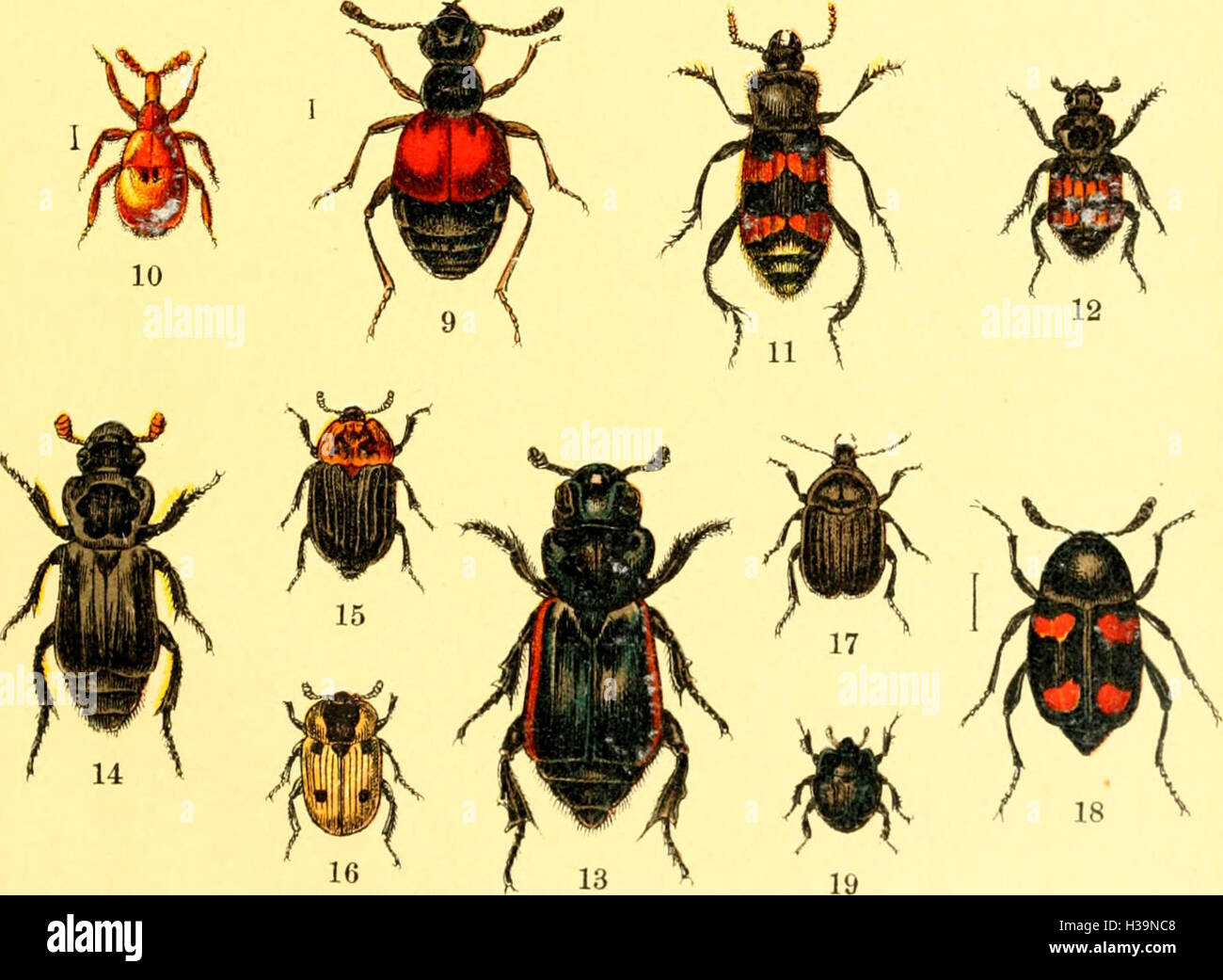 This guide provides practical instructions for collecting and ...