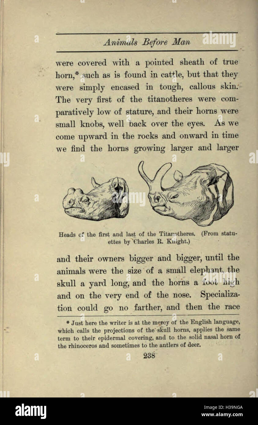An exploration of the prehistoric animals that lived in North America ...