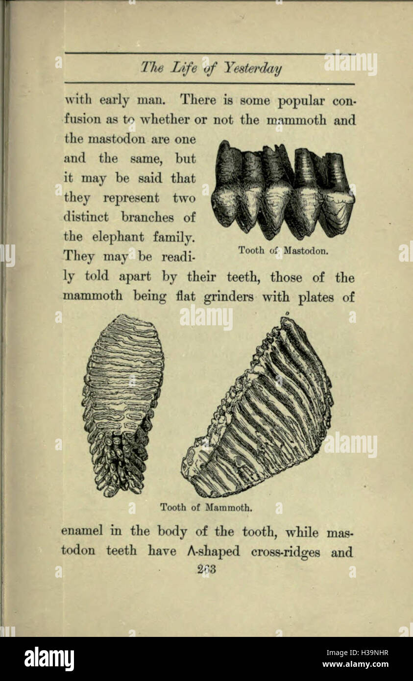 This page discusses the prehistoric animals that inhabited North ...