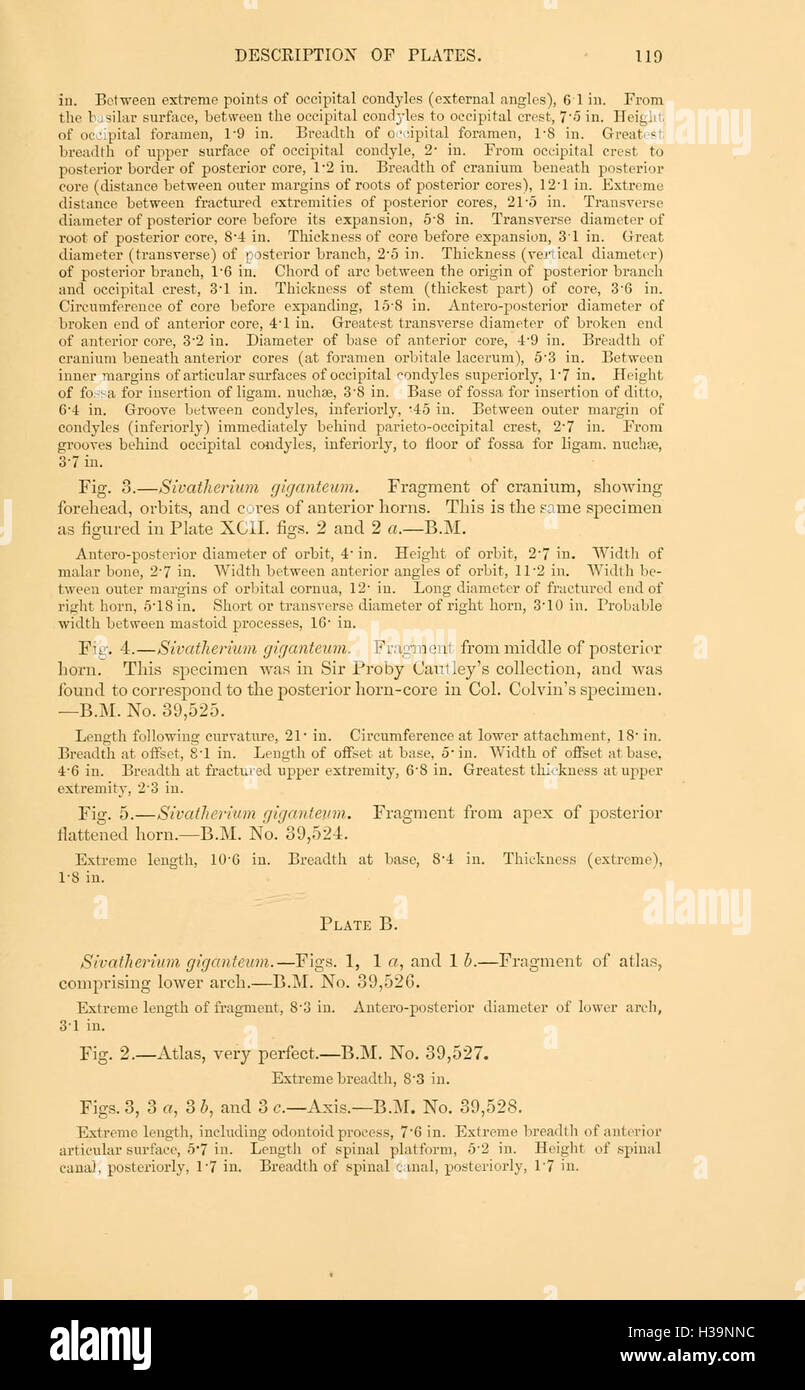 This page describes the plates depicting the extinct fauna from the ...