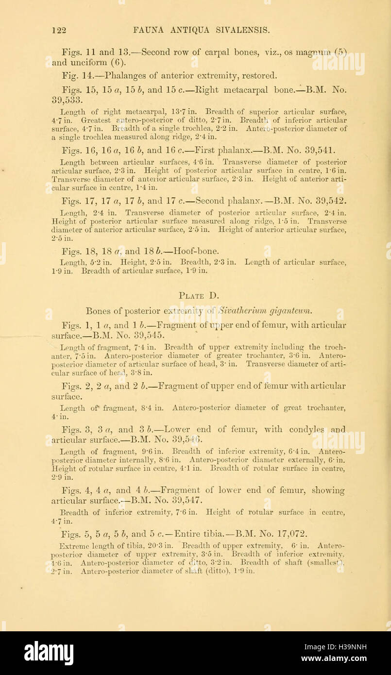 This description focuses on the plates of 'Fauna antiqua sivalensis ...
