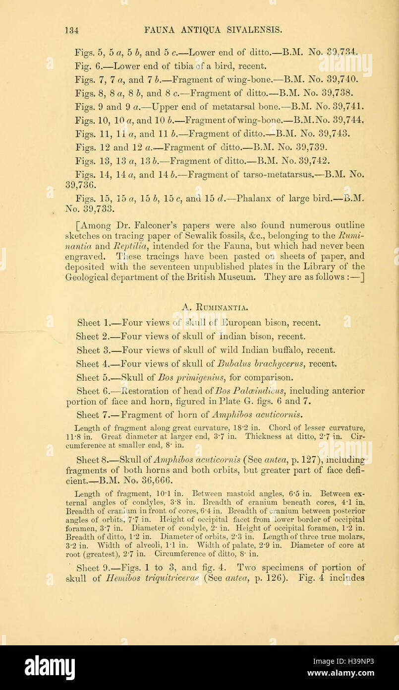 A detailed description of the fauna depicted in the plates of Fauna ...