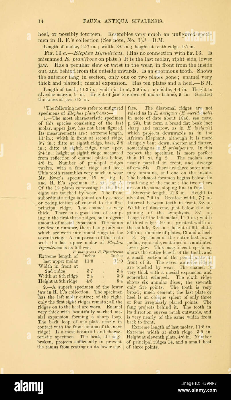This work describes the detailed illustrations of extinct species from ...