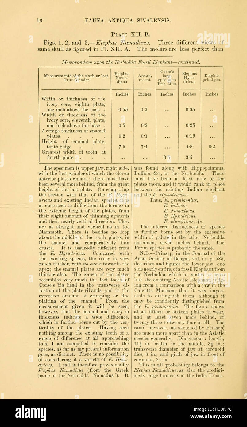 This work describes the plates depicting extinct species from the ...