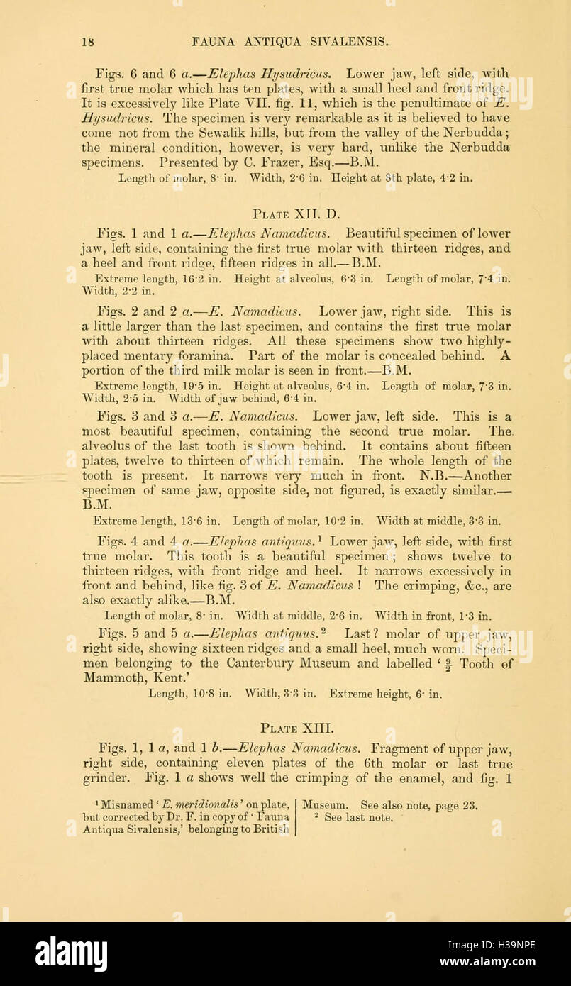 This section of the Fauna antiqua sivalensis work describes and ...