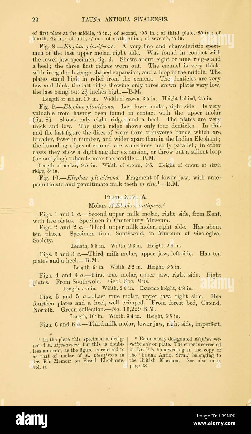 A detailed description of the plates illustrating the ancient fauna ...