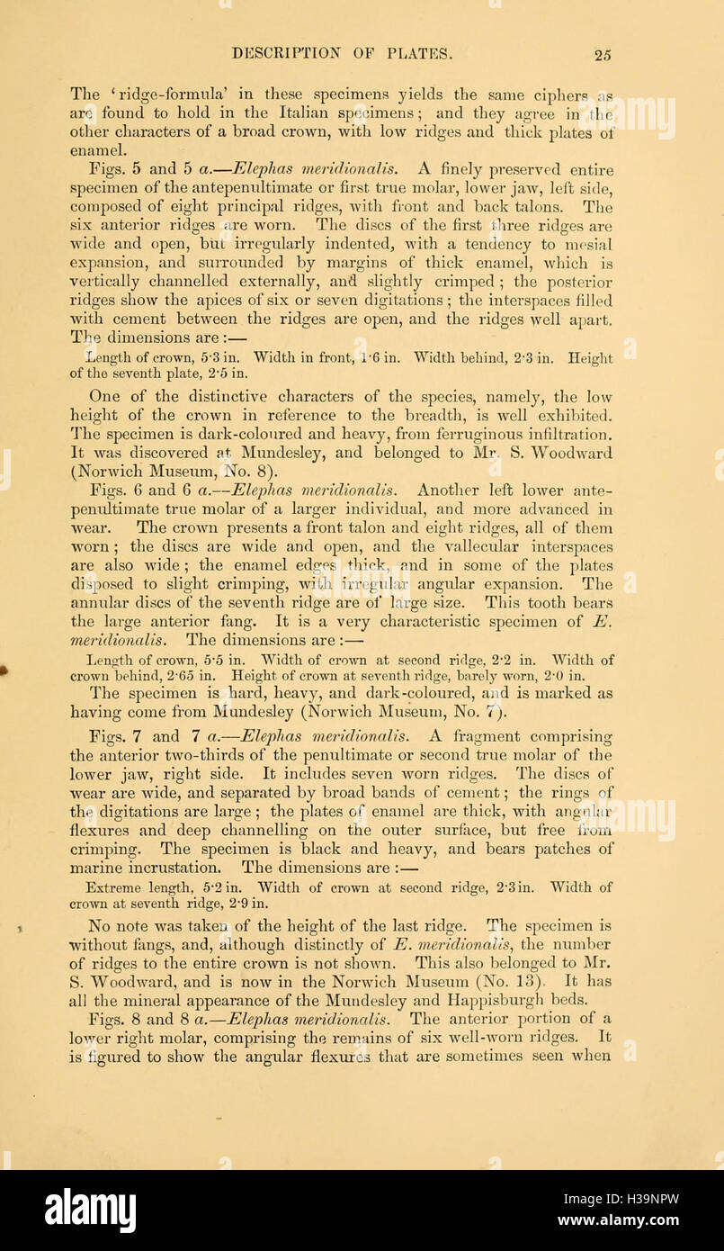 This work describes the fossilized fauna of the Sivalensis region, with ...