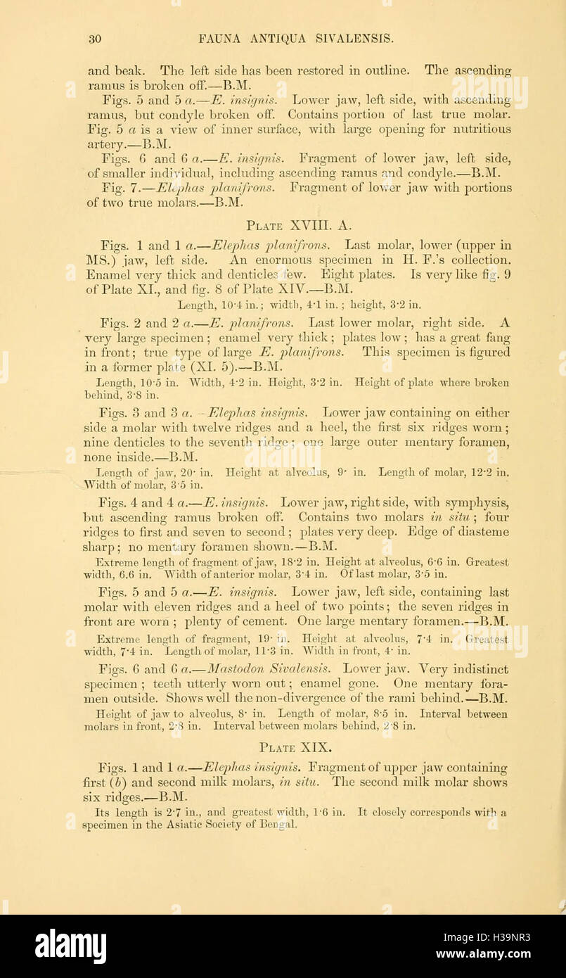 This work offers descriptions and explanations of the fossil plates ...