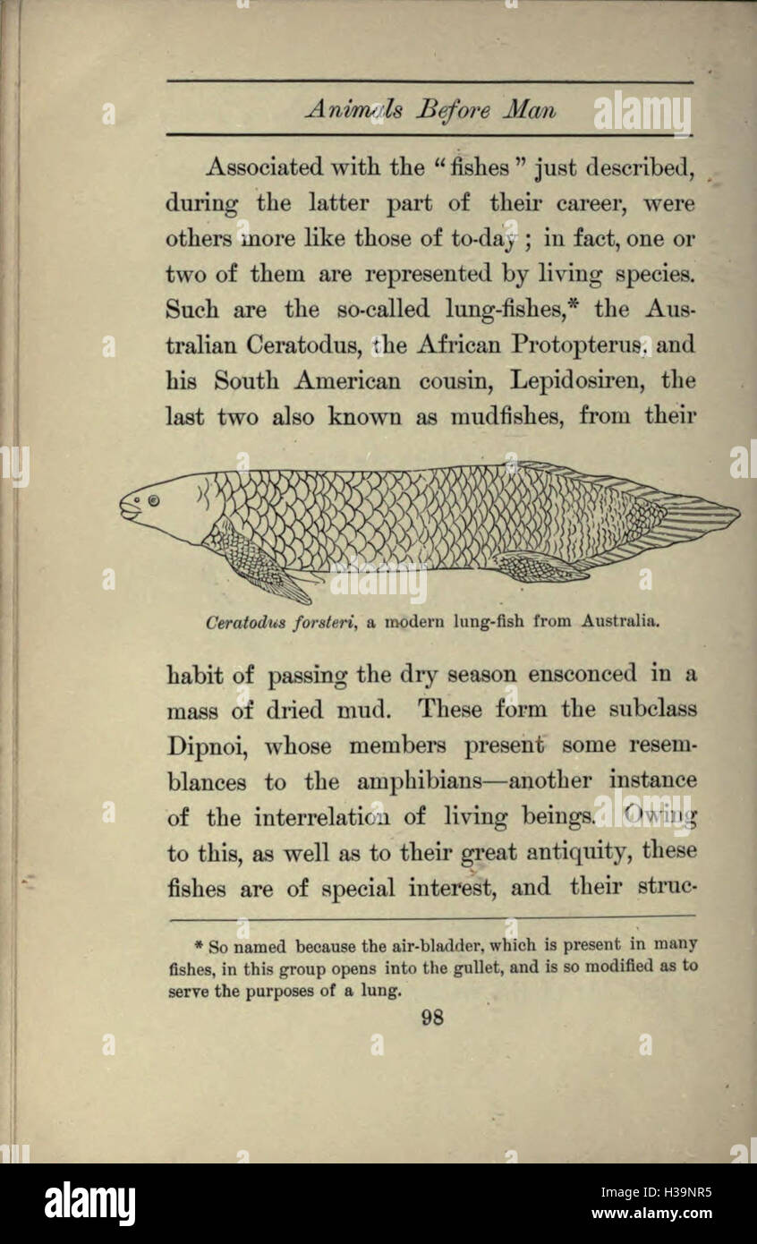 This page discusses prehistoric animals that inhabited North America ...