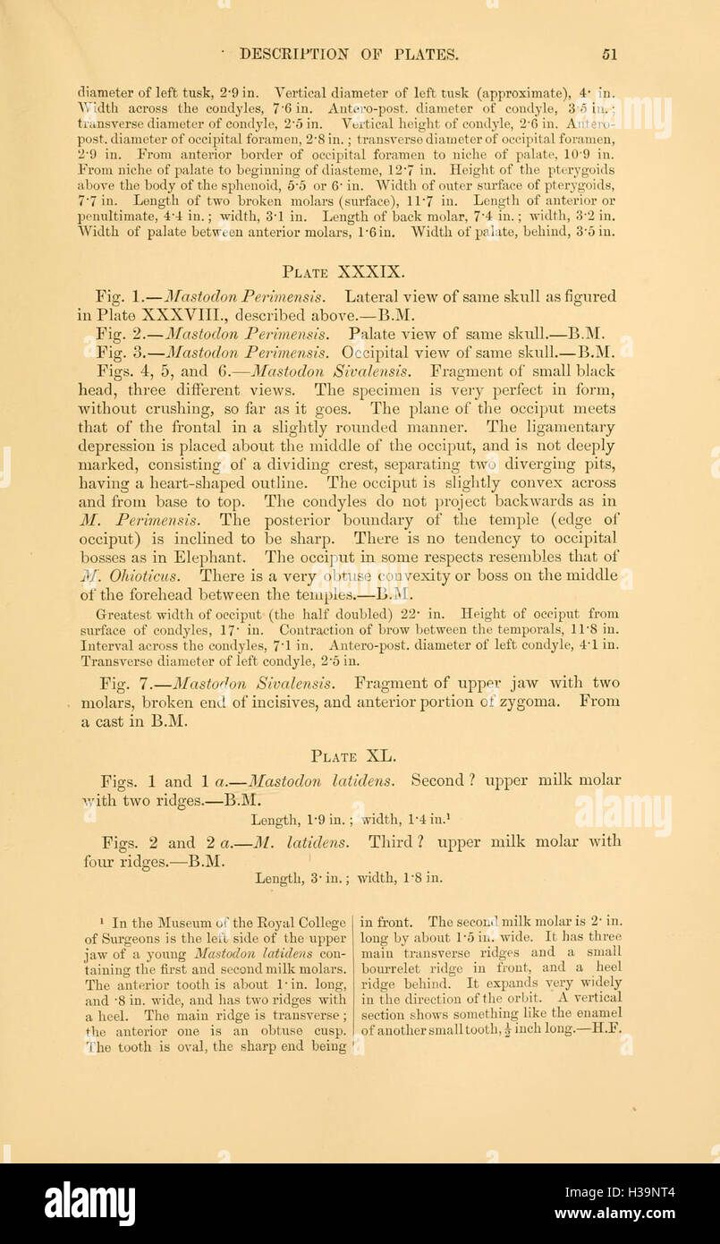 This work presents detailed illustrations of the extinct fauna from the ...