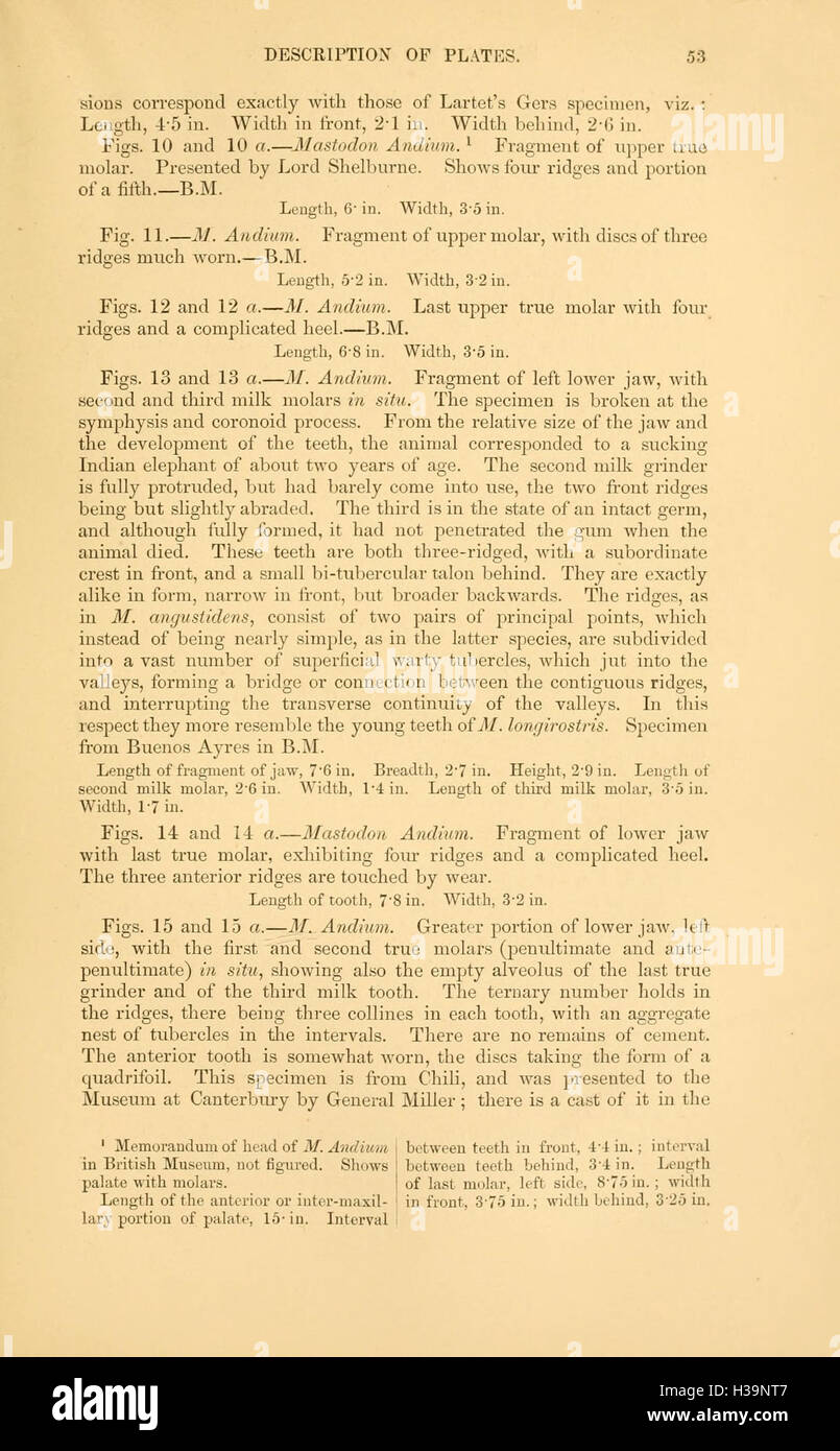 This work offers descriptions of the illustrations in the 'Fauna ...