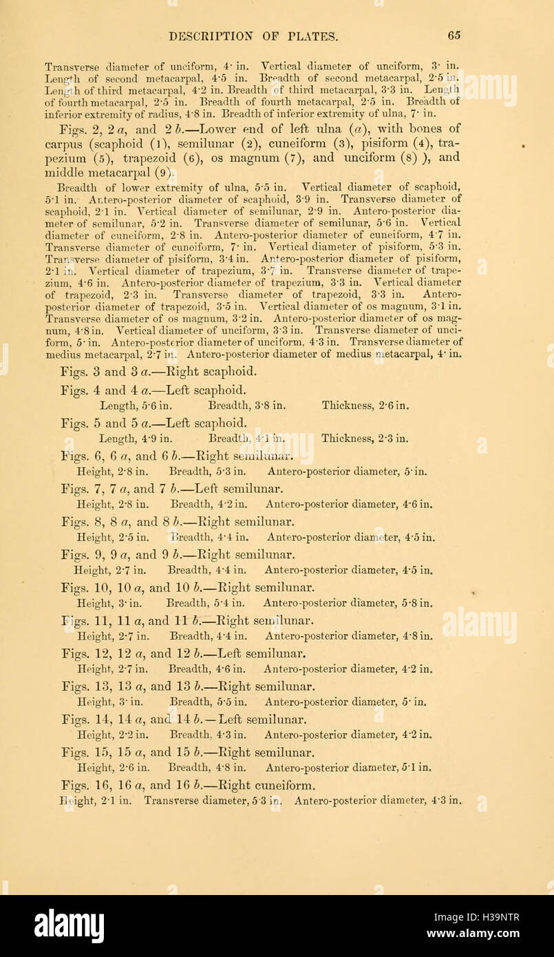 This work provides a description of the fossil plates from the Fauna ...