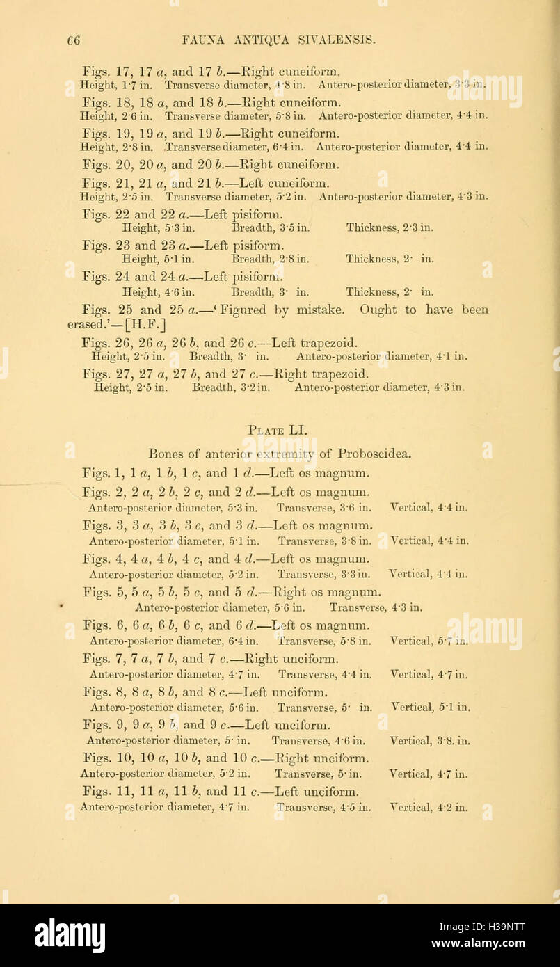 This work provides a detailed description of the illustrations in the ...