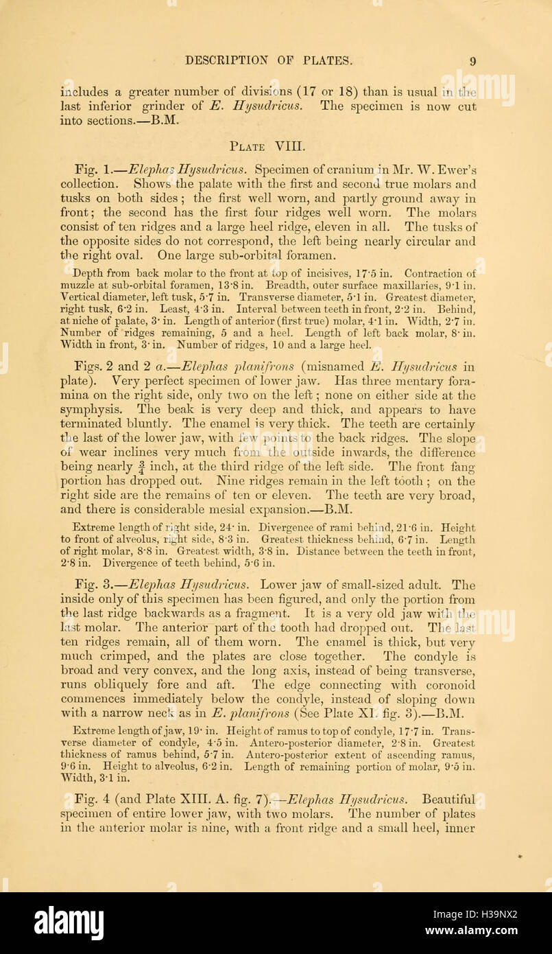 This work provides descriptions and illustrations of the ancient fauna ...