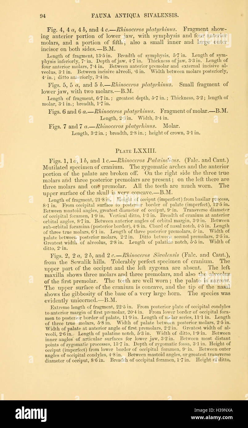 This description covers the fossil plates of the Fauna antiqua ...