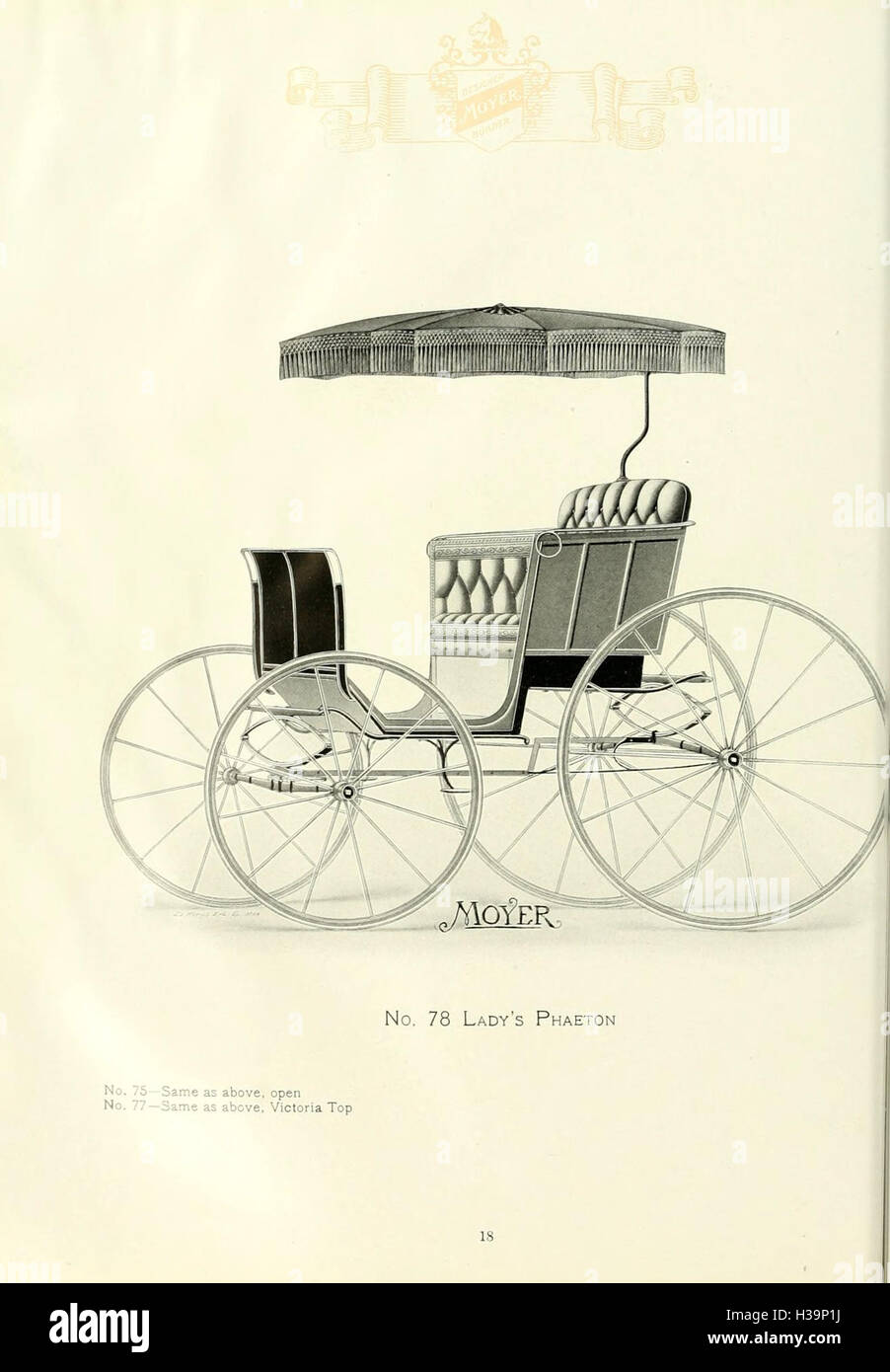 This work details the design and construction of high-quality carriages ...