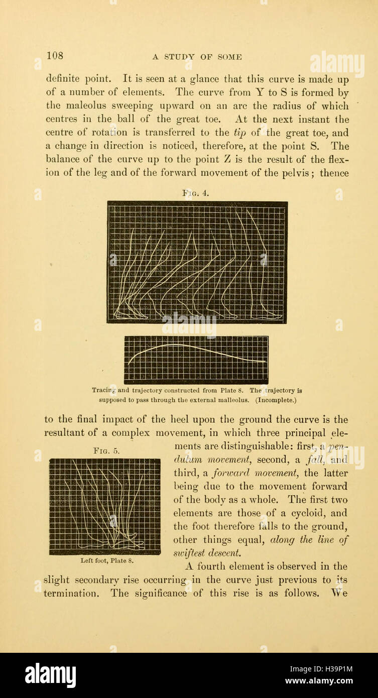 This study explores the various methods of animal movement, including ...