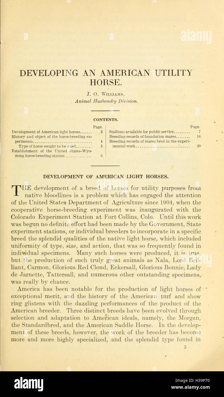 A guide to the development and breeding of utility horses in America ...