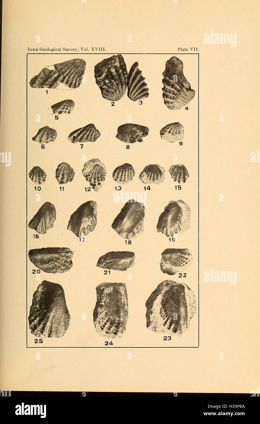 Devonian fishes of Iowa (Page 321) BHL406 Stock Photo - Alamy