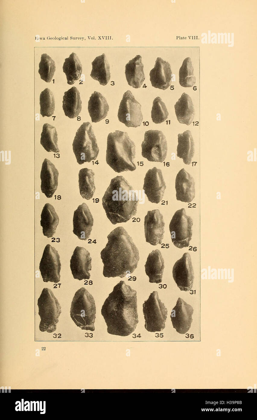 A paleontological study of Devonian-era fish fossils discovered in Iowa ...