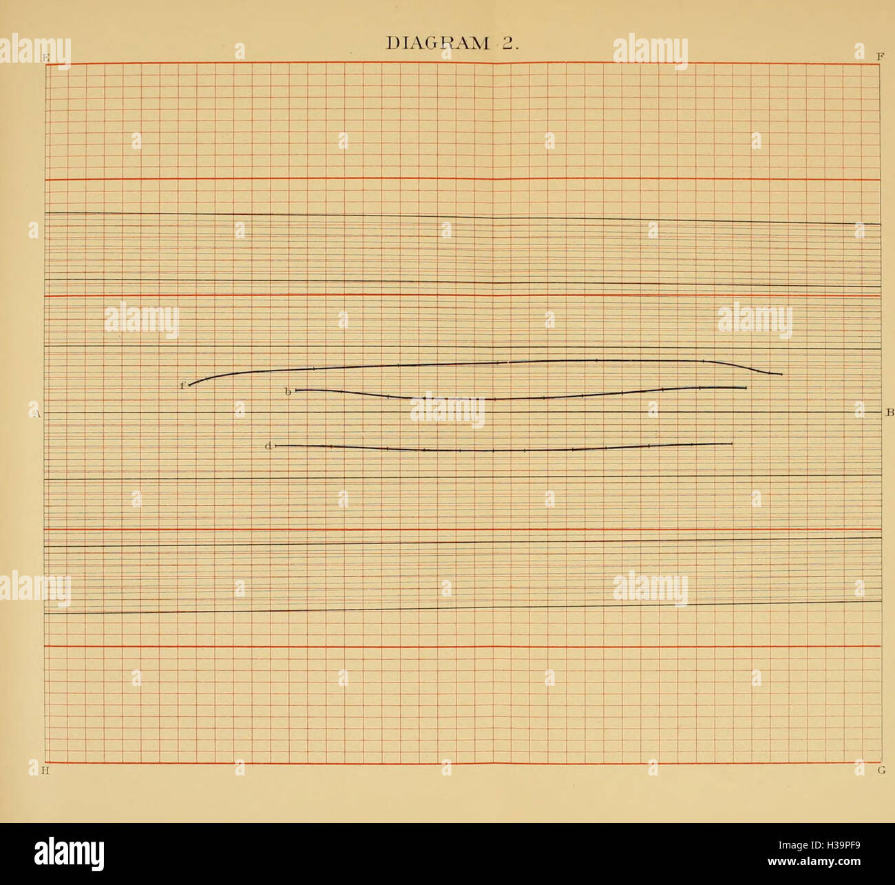 A study on animal locomotion, examining the movement patterns, anatomy ...