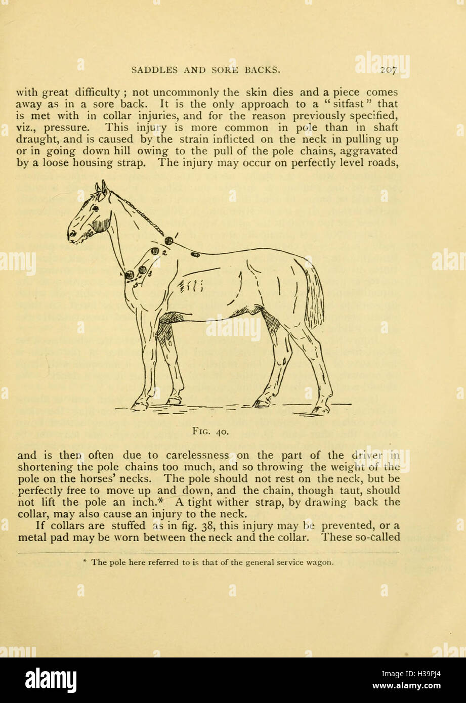 This text provides an overview of animal management practices, focusing ...