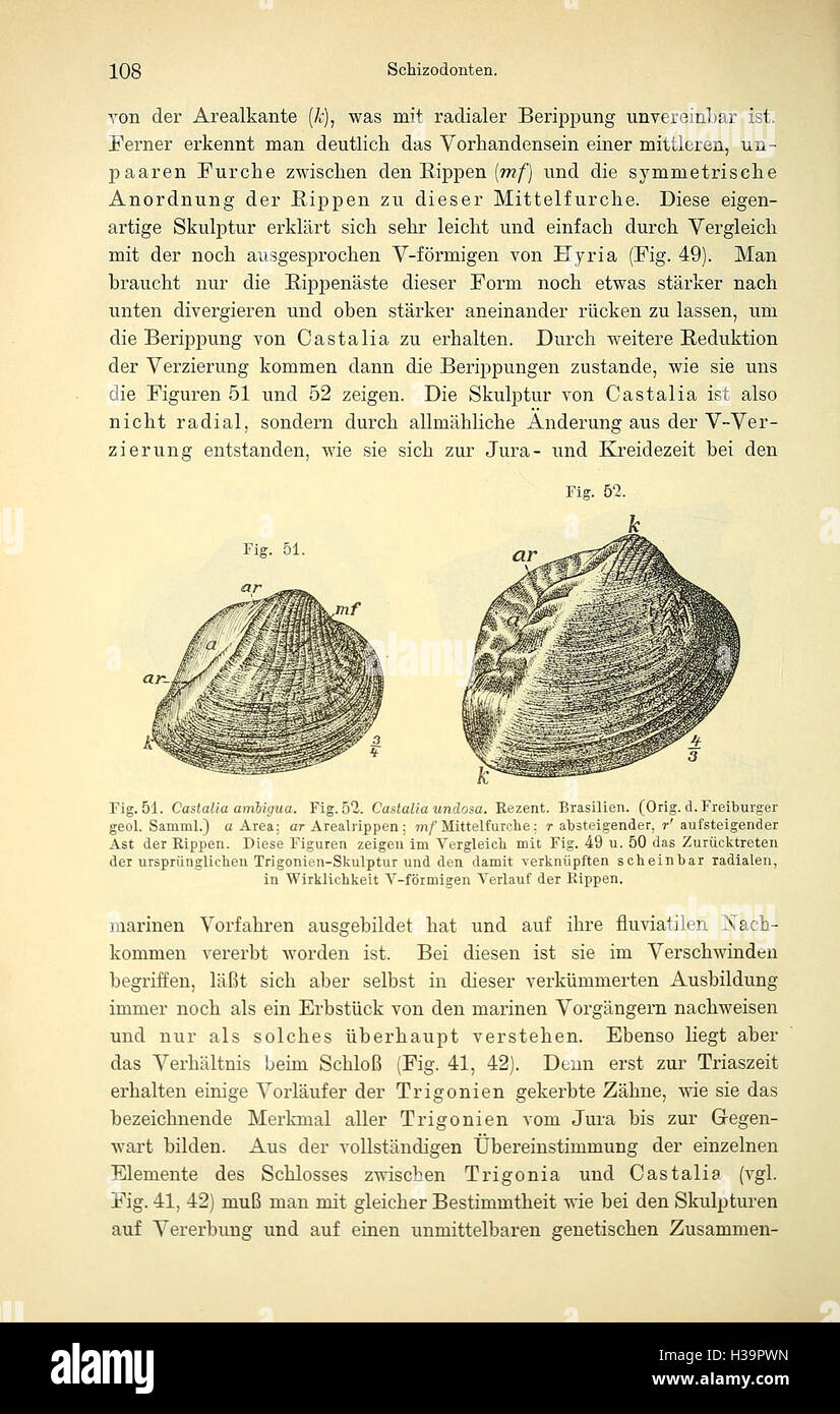 This text explores the geological foundations of the theory of ...