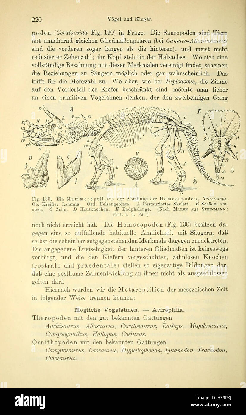 This text, translated as 'The Geological Foundations of the Theory of ...