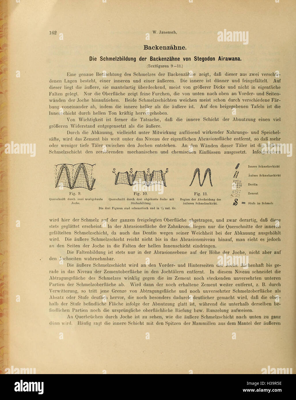 Die Pithecanthropus-Schichten auf Java (Page 162) BHL401 Stock Photo ...