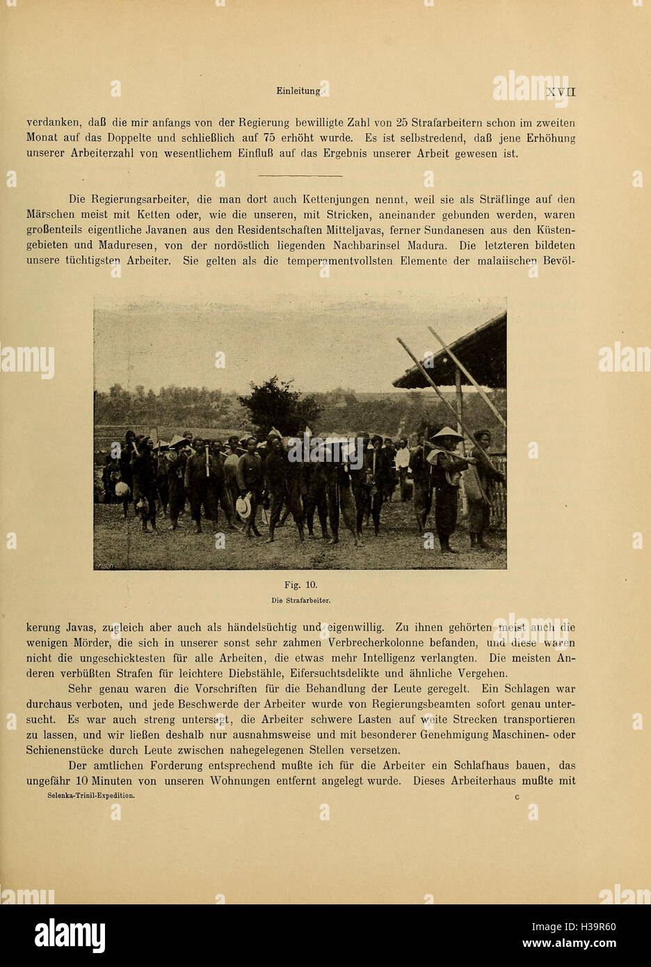 'Die Pithecanthropus-Schichten auf Java' (The Pithecanthropus Layers on ...