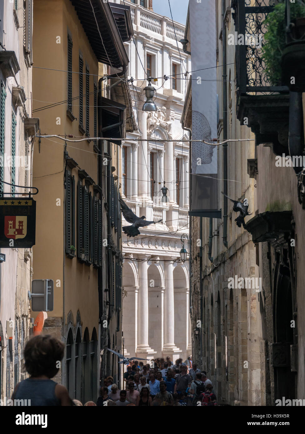 Street in the Old Town of Bergamo, Italy Stock Photo - Alamy