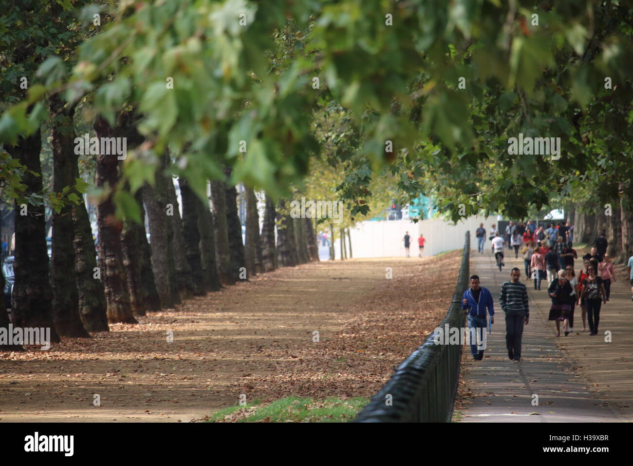 a park path in London Stock Photo - Alamy