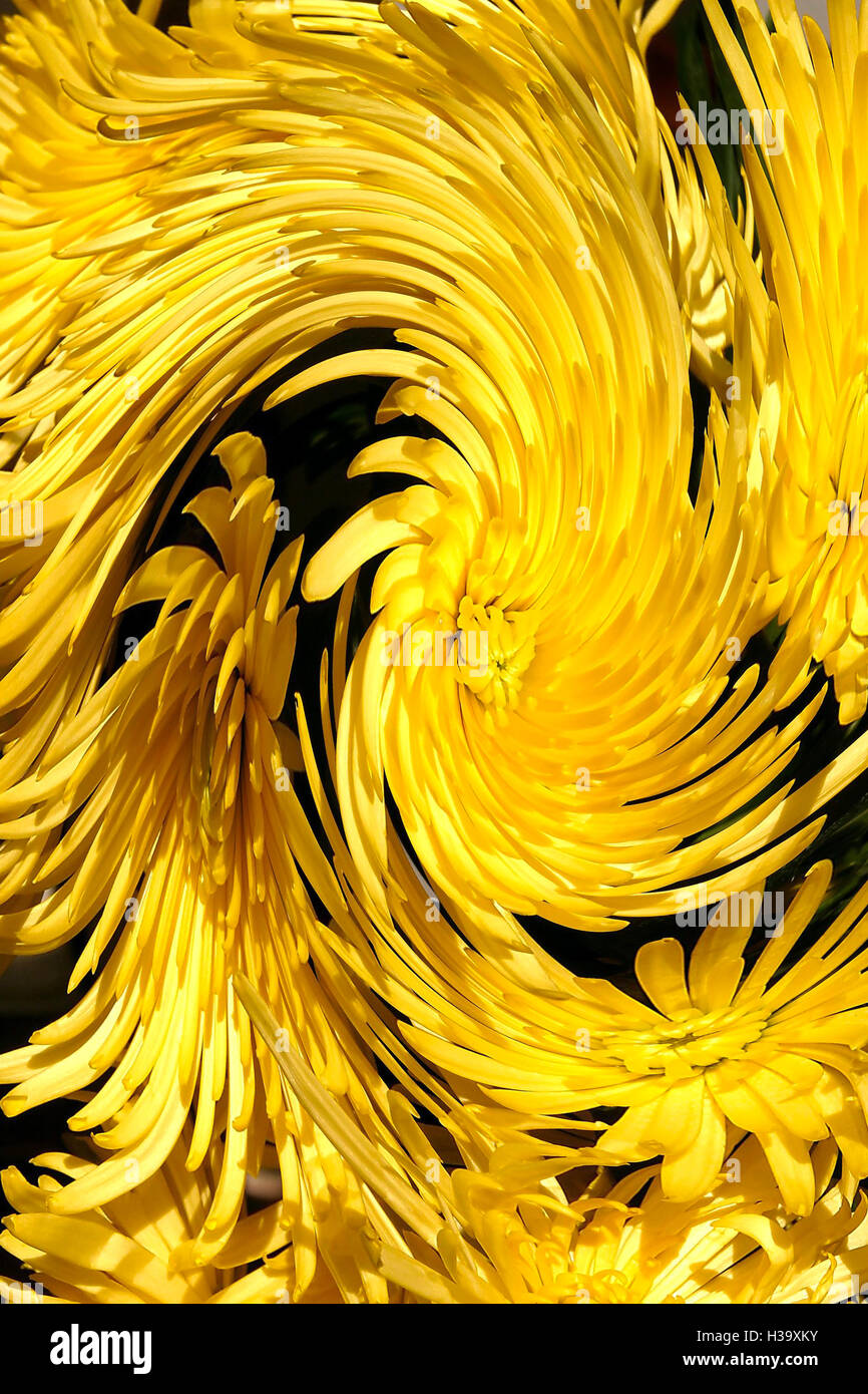 Abstract flower petals Stock Photo - Alamy