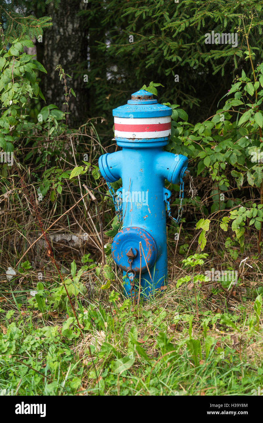 White and blue fire hydrant hi-res stock photography and images - Alamy