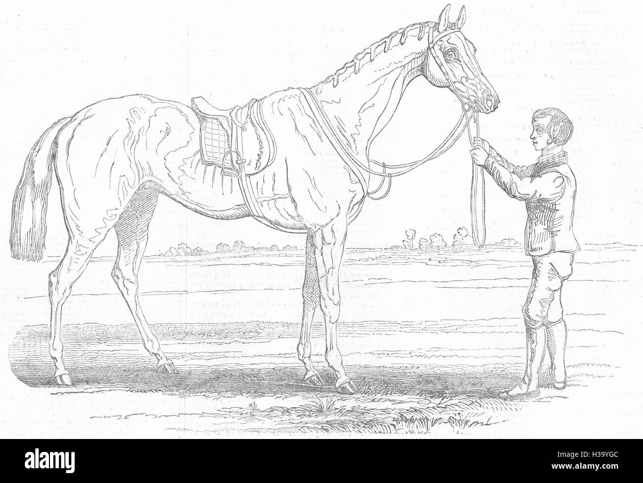 BERKSHIRE Alice Hawthorn, the winner of the Gold vase, at Ascot races ...