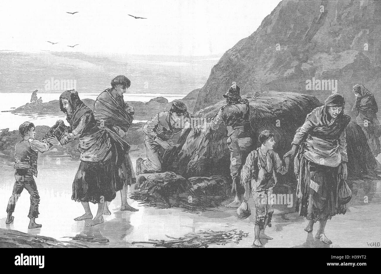 Ireland famine Black and White Stock Photos & Images - Alamy
