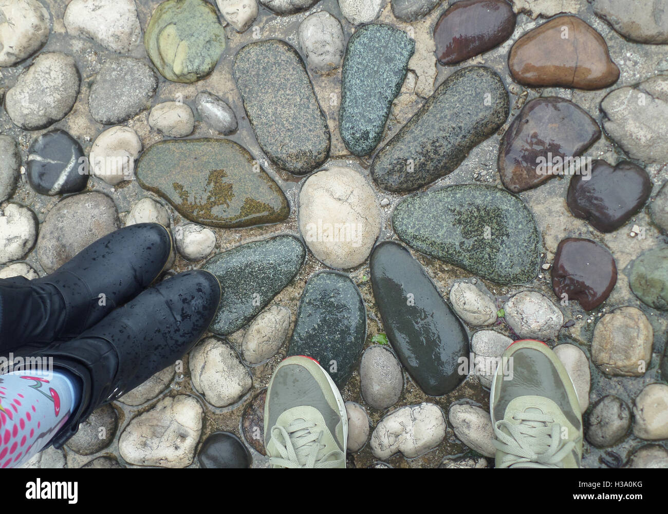 Flower pattern cobblestone path in hi-res stock photography and images ...