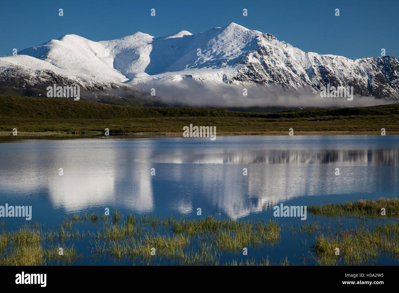 Alaskan Range High Resolution Stock Photography and Images - Alamy
