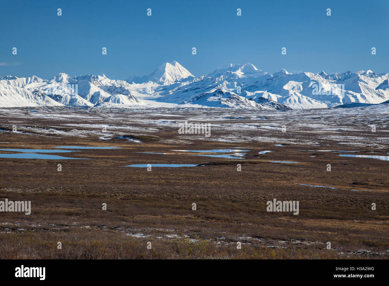 The Alaskan Range of mountains and tundra along the Denali Highway near ...