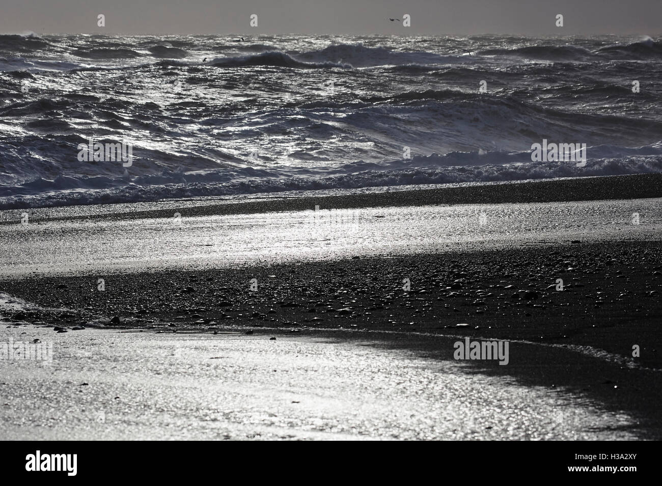 Black lava beach in Iceland Stock Photo - Alamy