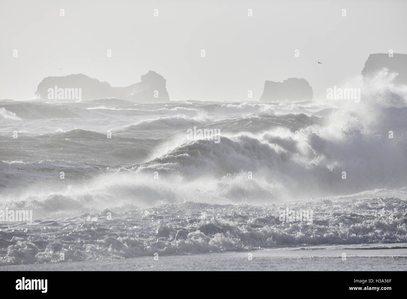 Winter storm at the beach Stock Photo - Alamy