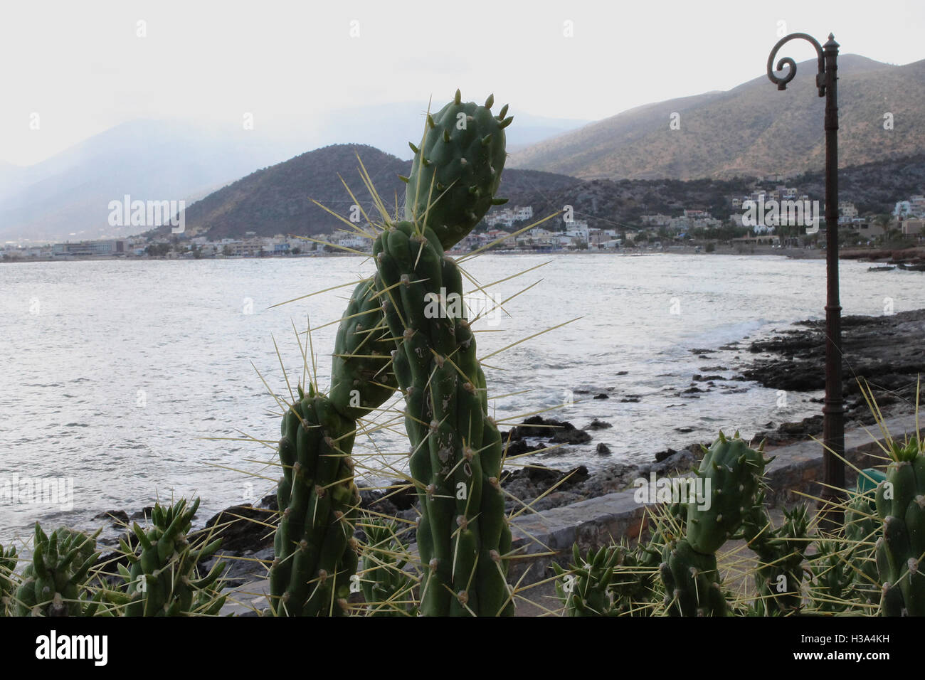 A view of Stalis Stalida Crete Greece Stock Photo - Alamy