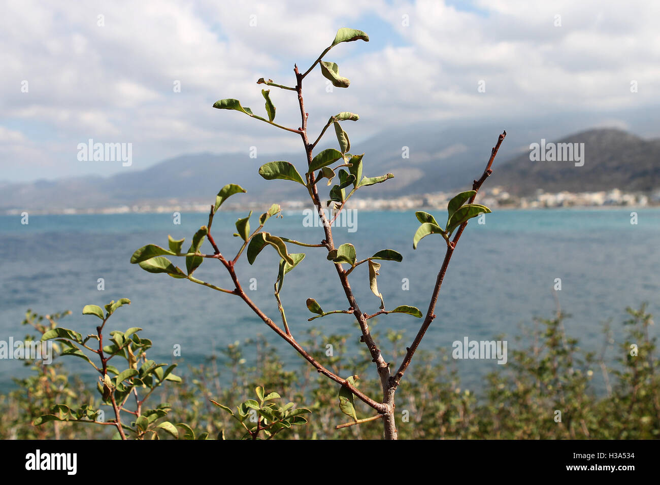 Views of Stalis Stalida Crete Greece Stock Photo - Alamy