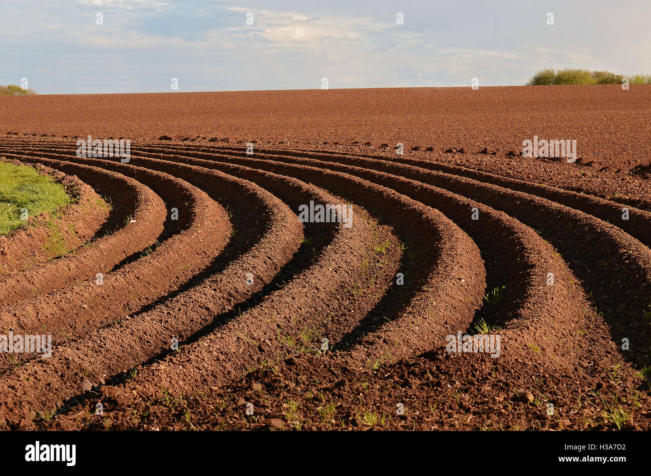 Furrow lines hi-res stock photography and images - Alamy
