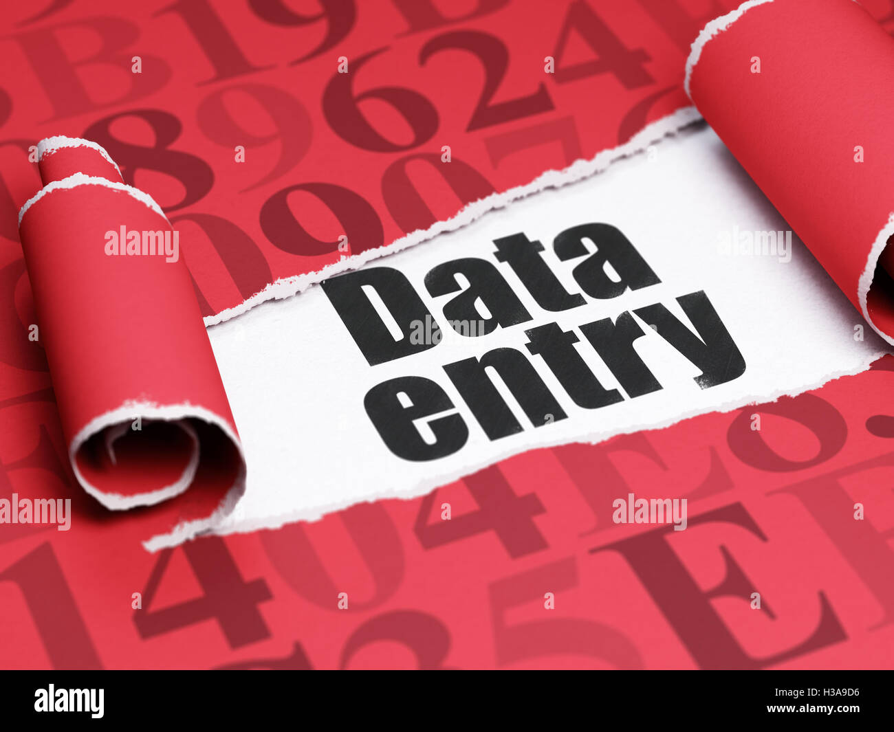 Data concept: black text Data Entry under the piece of torn paper Stock ...