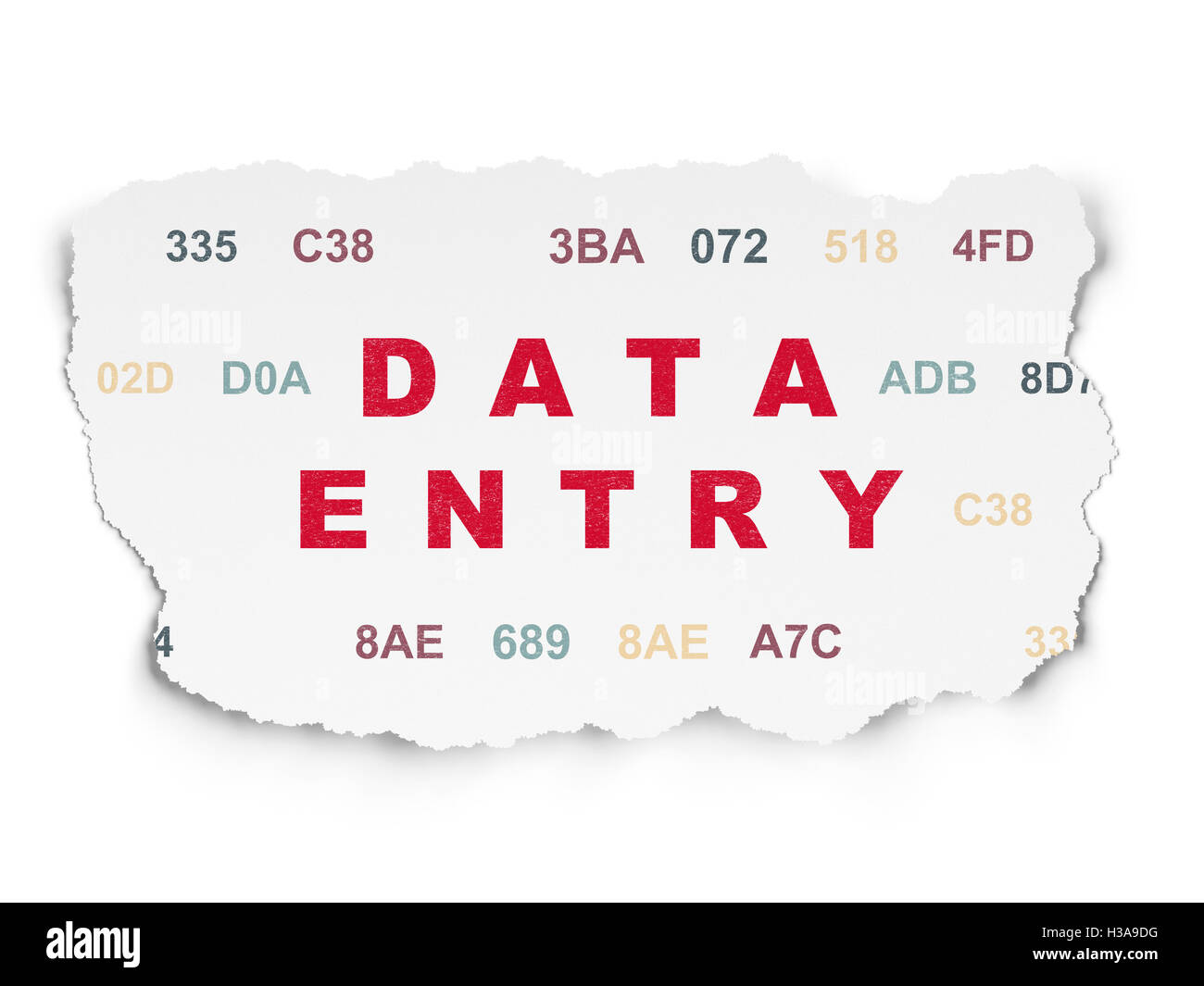 Information concept: Data Entry on Torn Paper background Stock Photo ...