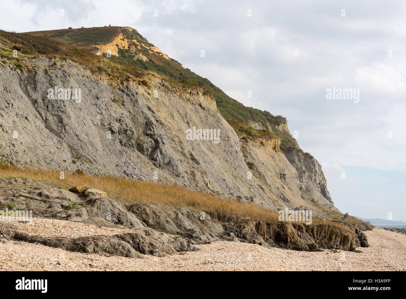 Golden cap hi-res stock photography and images - Alamy