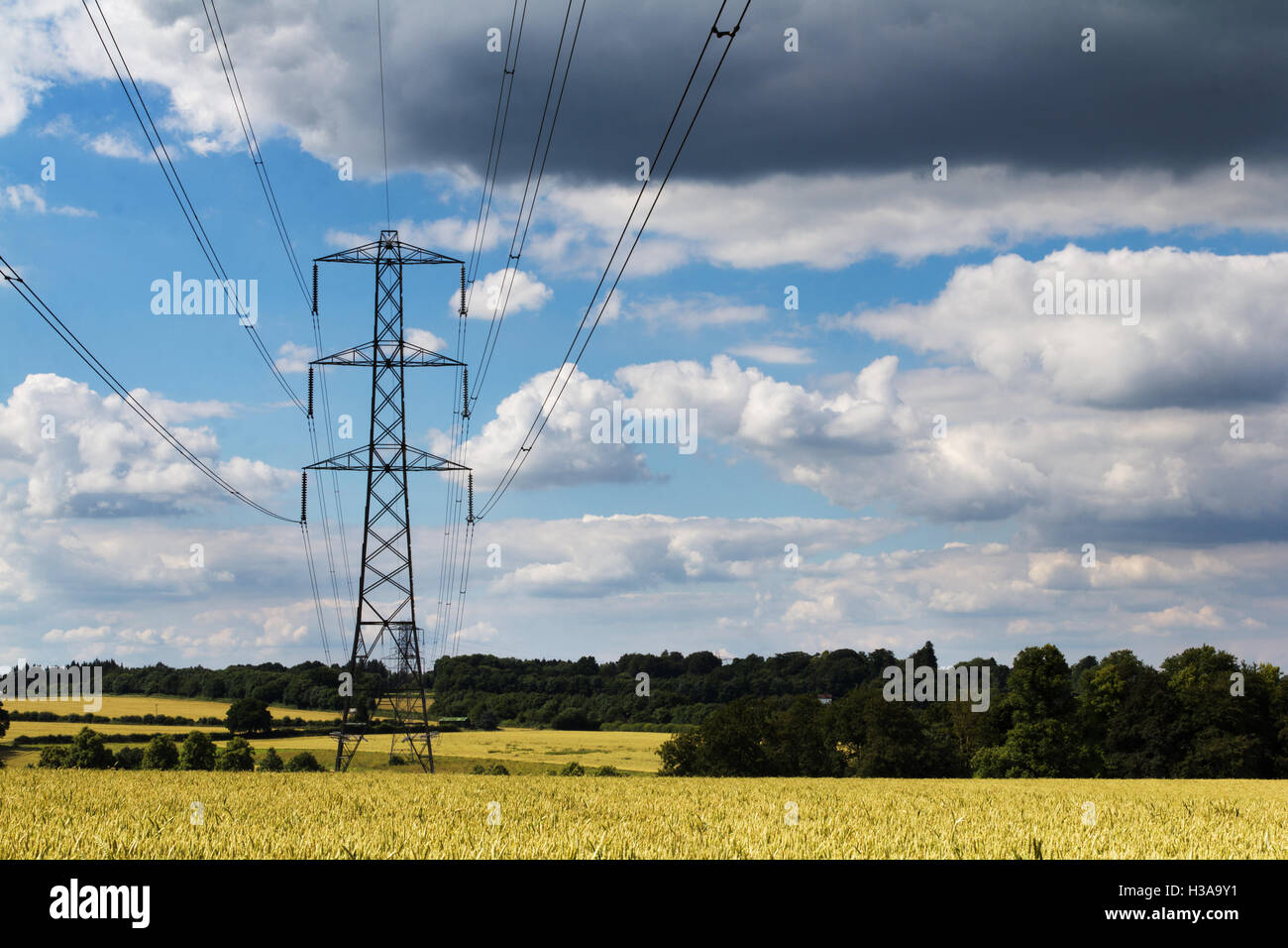 Electricity pylons going across fields in the English countryside Stock ...