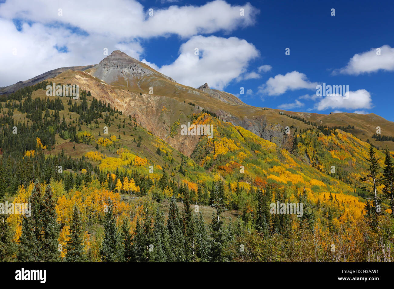 Ouray Mountain Colorado in Autumn season with yellow and gold aspen ...