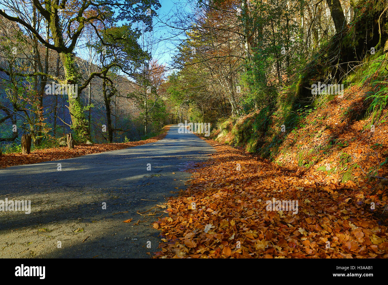 Autumn landscape with road and beautiful colored trees, in Geres ...